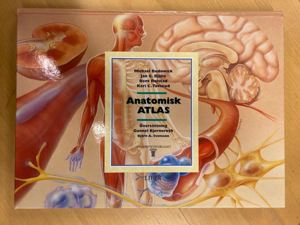 Anatomisk atlas | Budowick, Michael | från 375